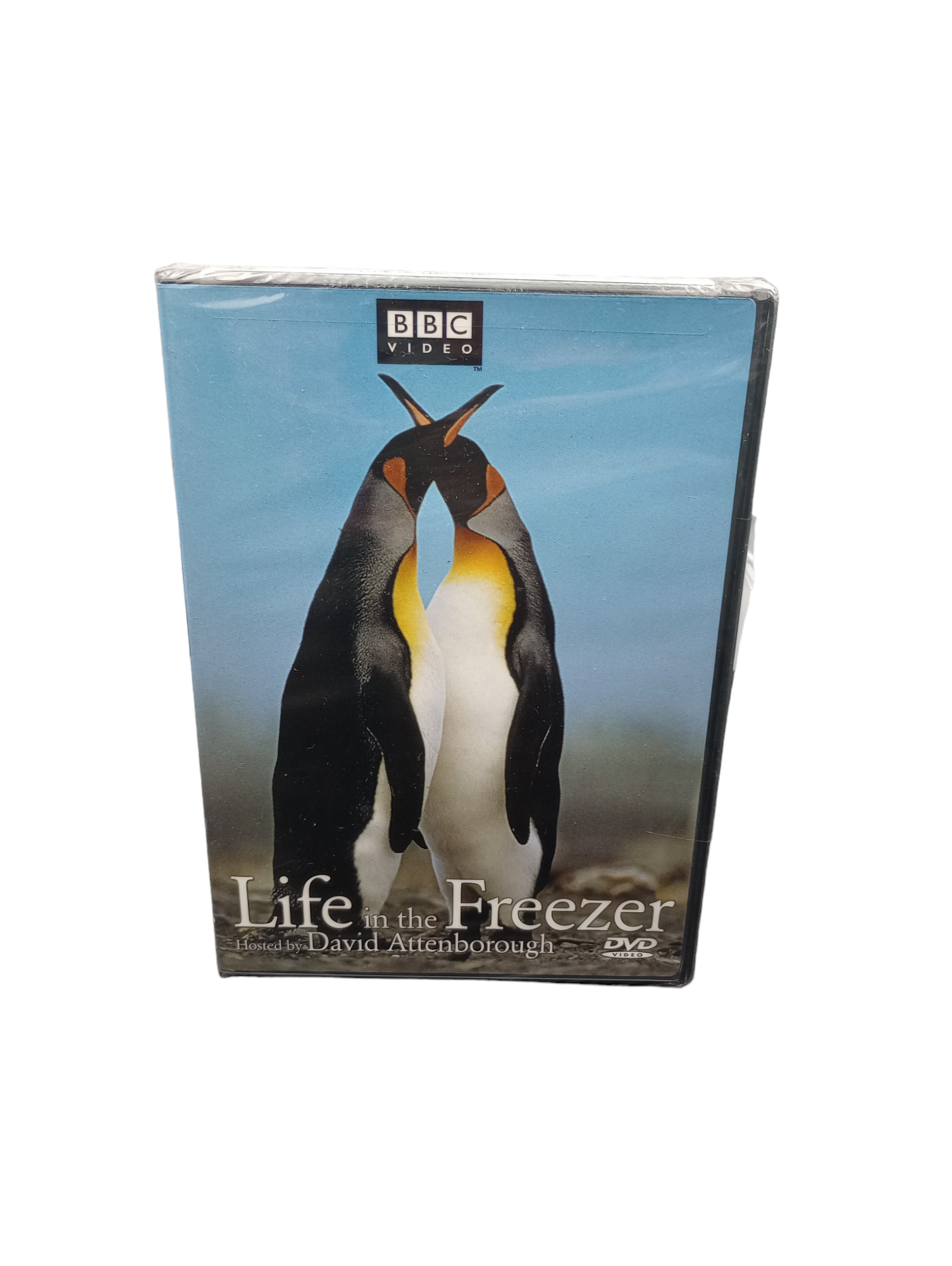 freezer dvd